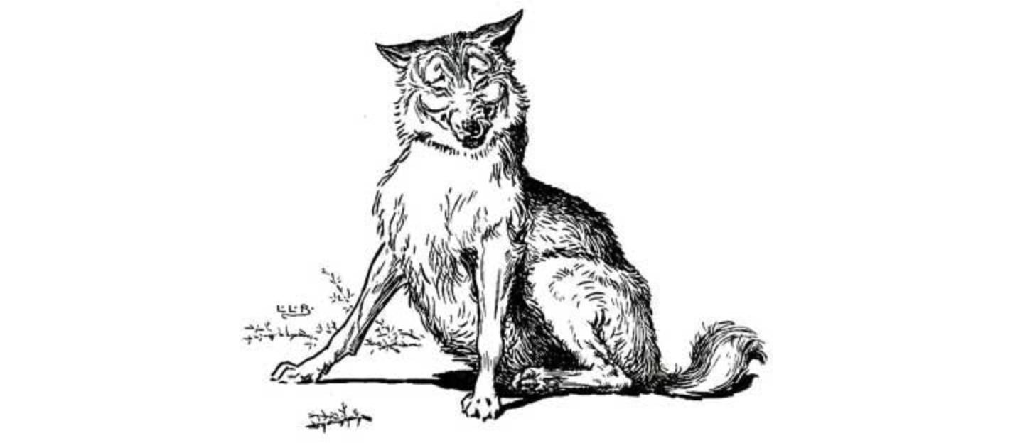 The Wolf of Gubbio | Hardcore Italians