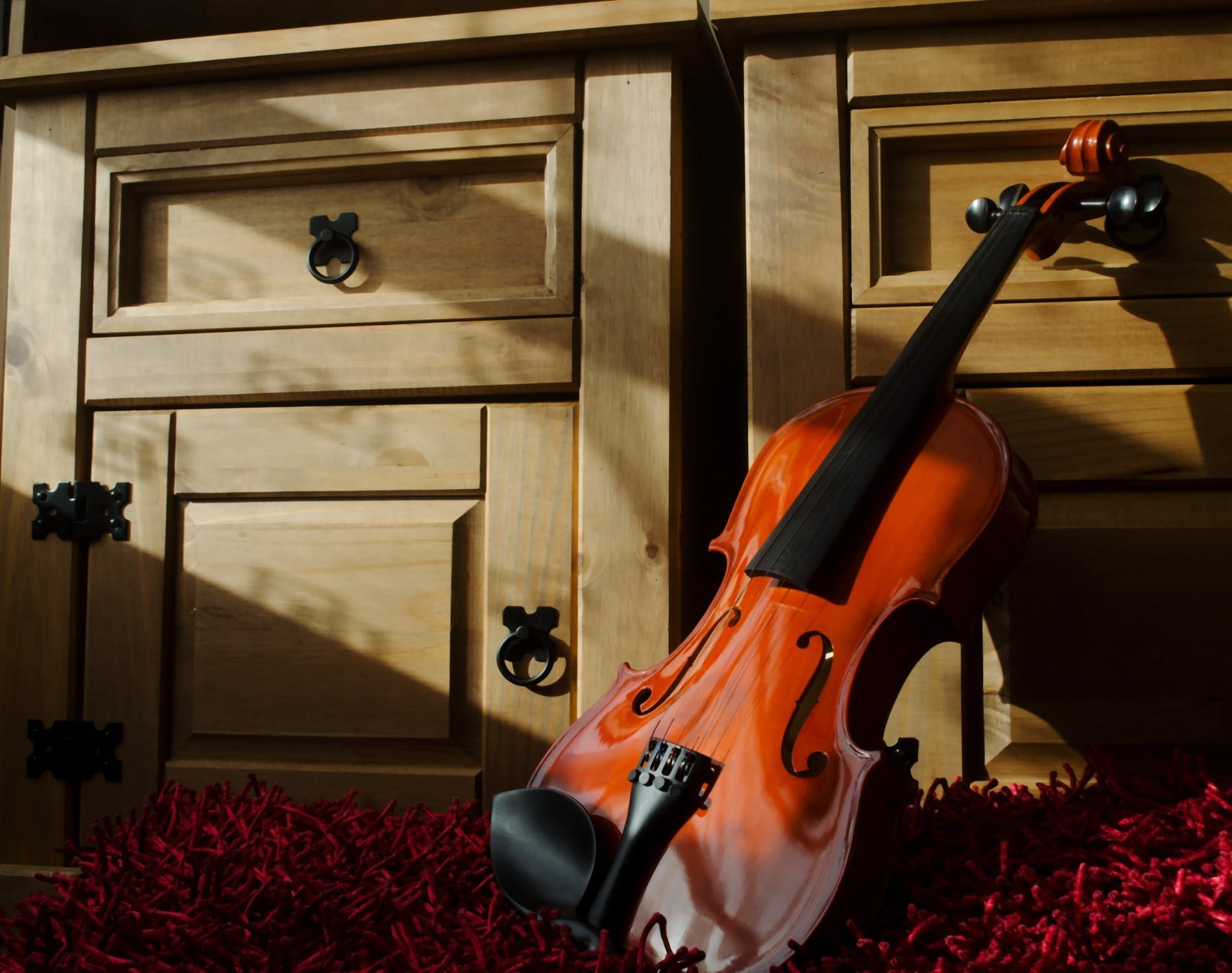 12 Interesting Facts About the Violin: An Italian Invention | Hardcore ...