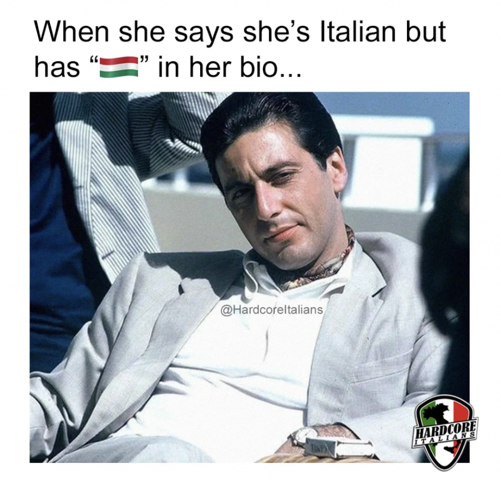 11. When She Says She's Italian But Has "🇭🇺" in Her Bio | Hardcore Italians