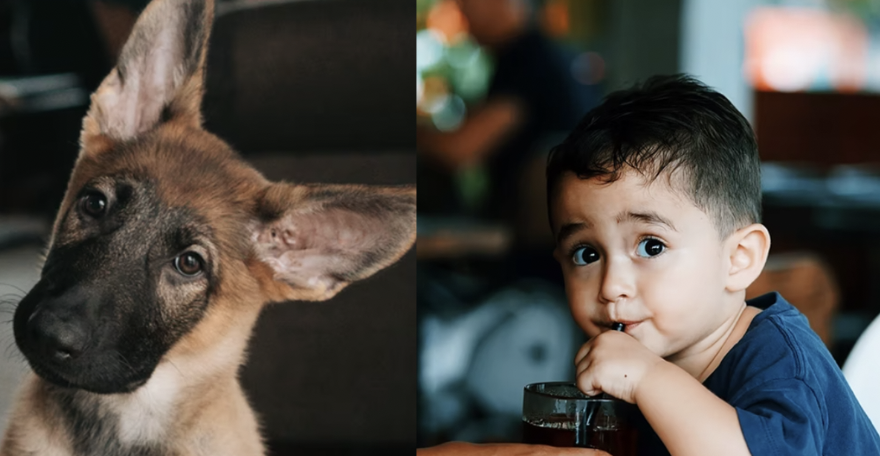 15 Hilarious Things Italian Kids Believed | Hardcore Italians